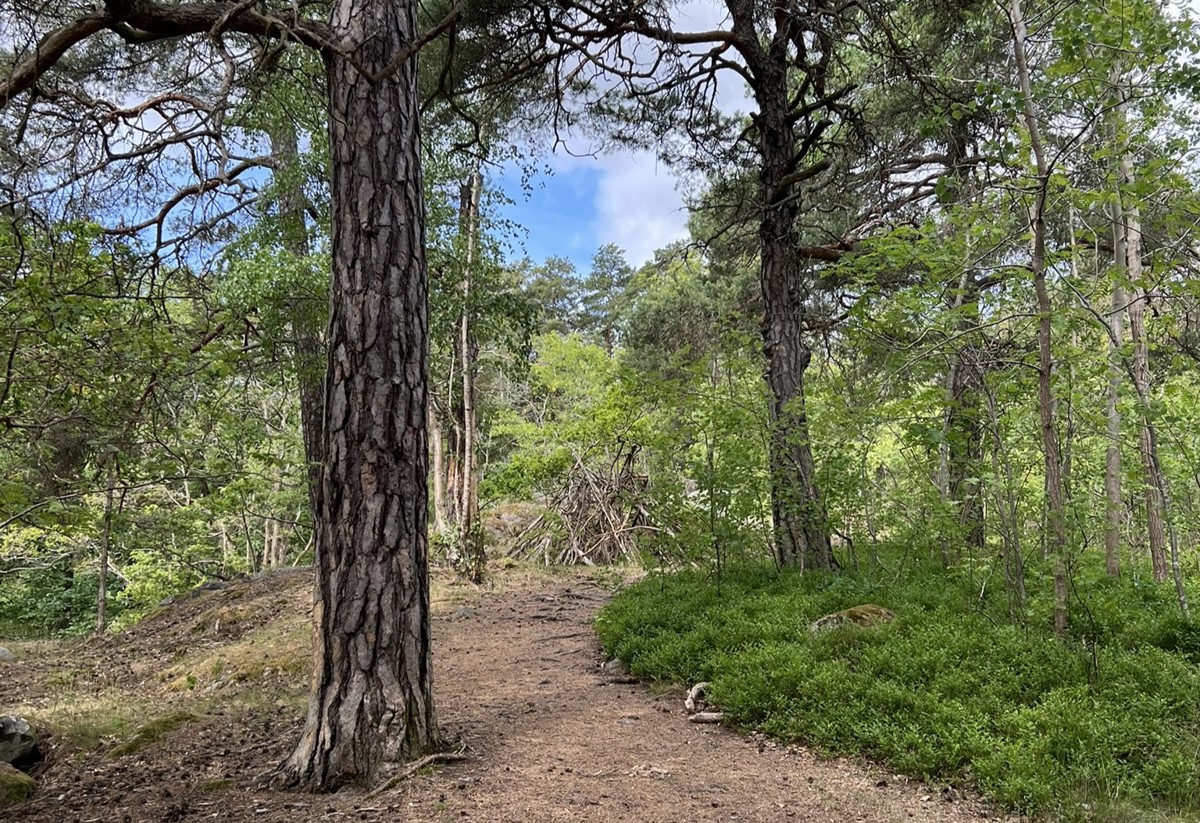 Vinterviken – biotopskyddsområde - Stockholms stad