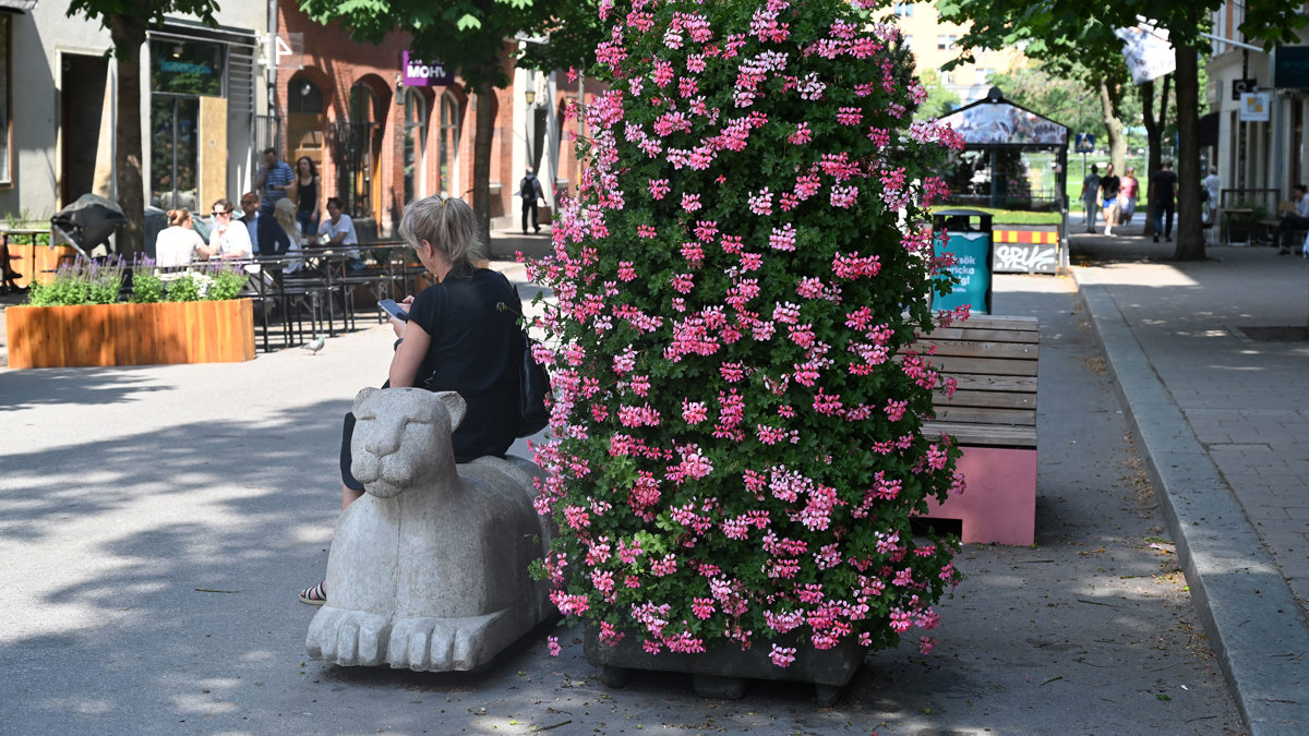 Swedenborgsgatan blir gågata året om - Stockholms stad